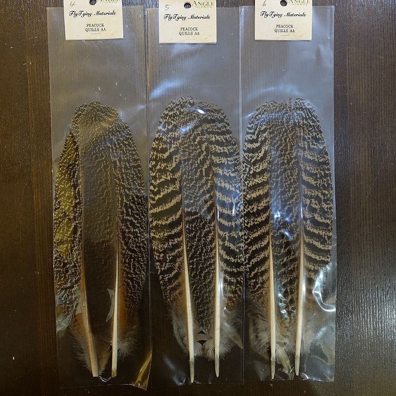 【ANGLE】PEACOCK QUILLS AAグレード